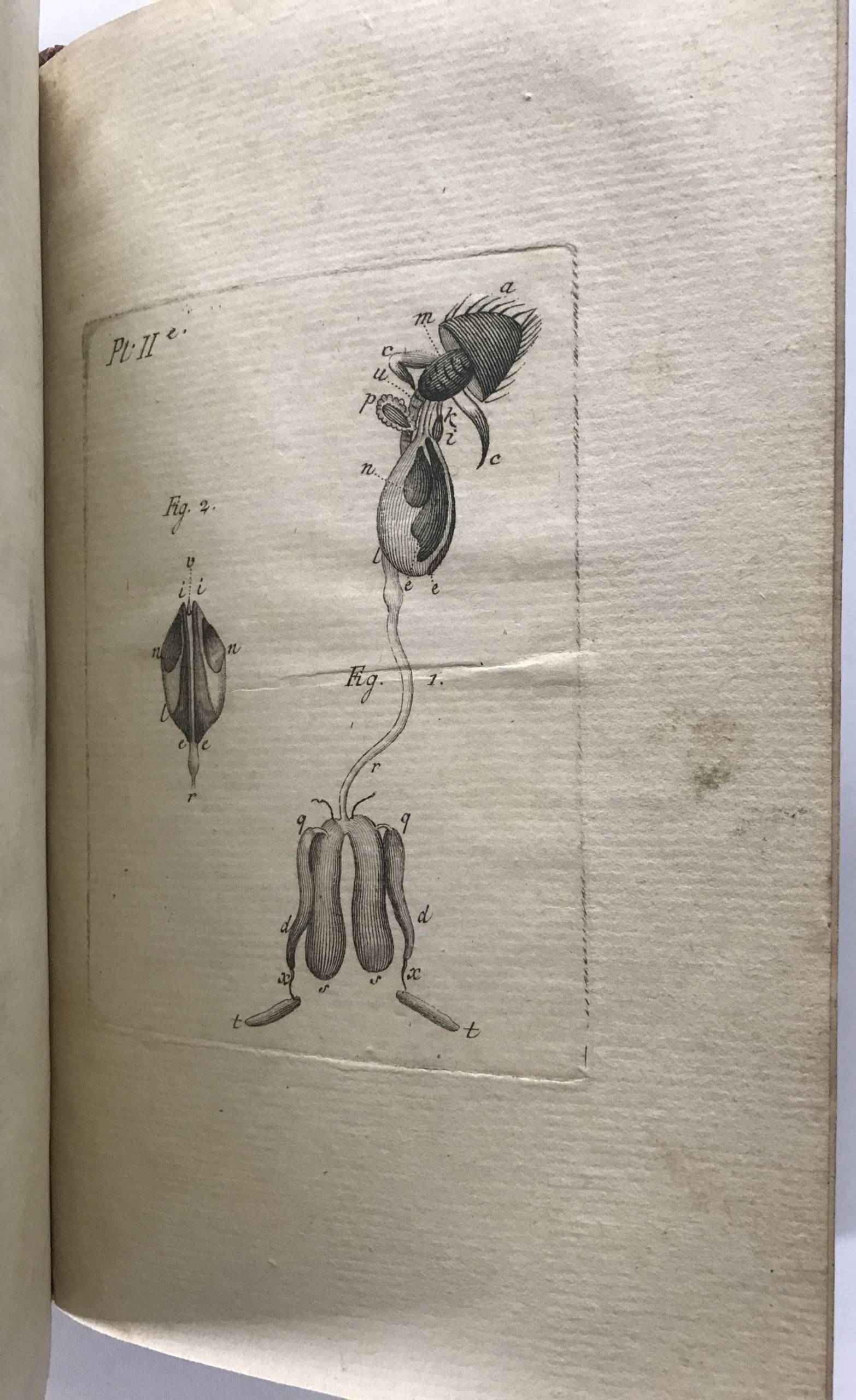 François Huber. Nouvelles observations sur les abeilles. – 150cent